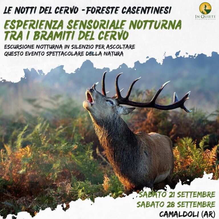 Home - Cooperativa In Quiete